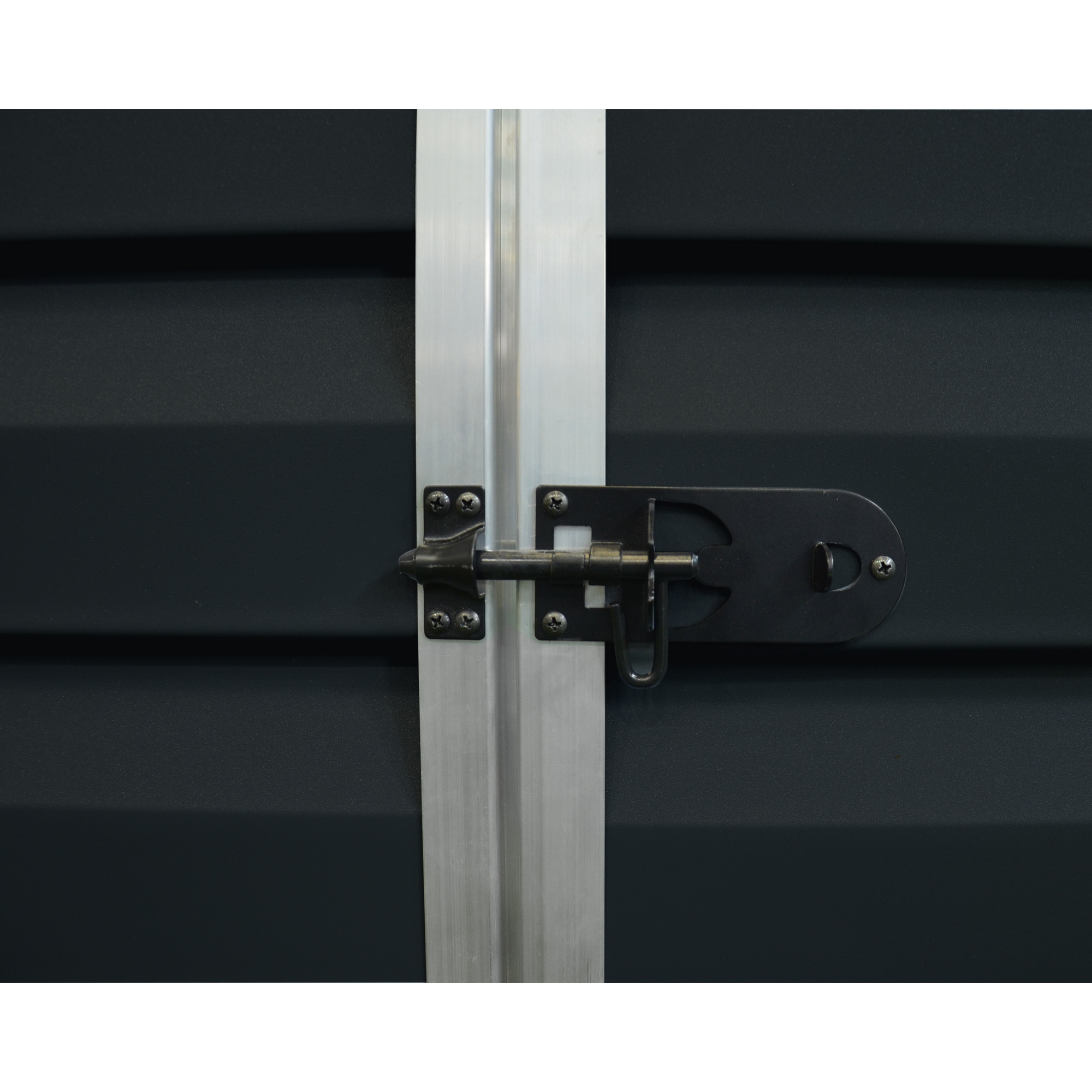 Palram-Canopia Kunststoff-Gerätehaus 'Skylight' 185 x 304 cm ...