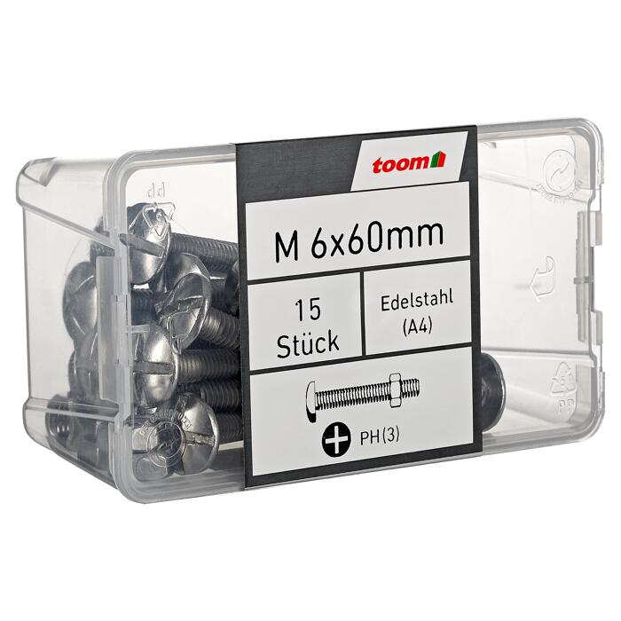 Flachrundschrauben PH3 Edelstahl M6 x 60 mm 15 Stück